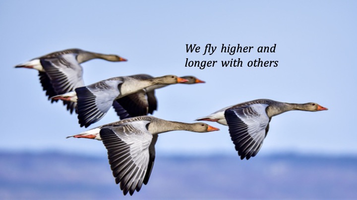 Flying on the Wings of Others | Authentic Transformations